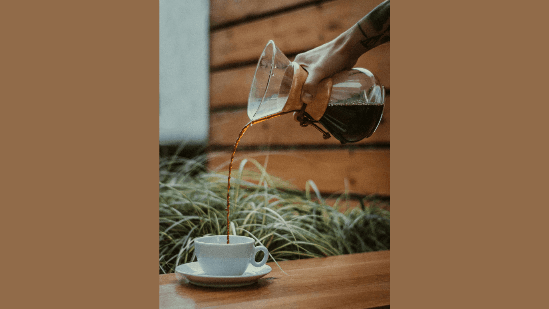 4 Best Organic Coffee Brands to Try in 2026