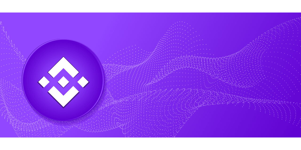 BNB Blockchain Hits Milestones: Impact on Value?