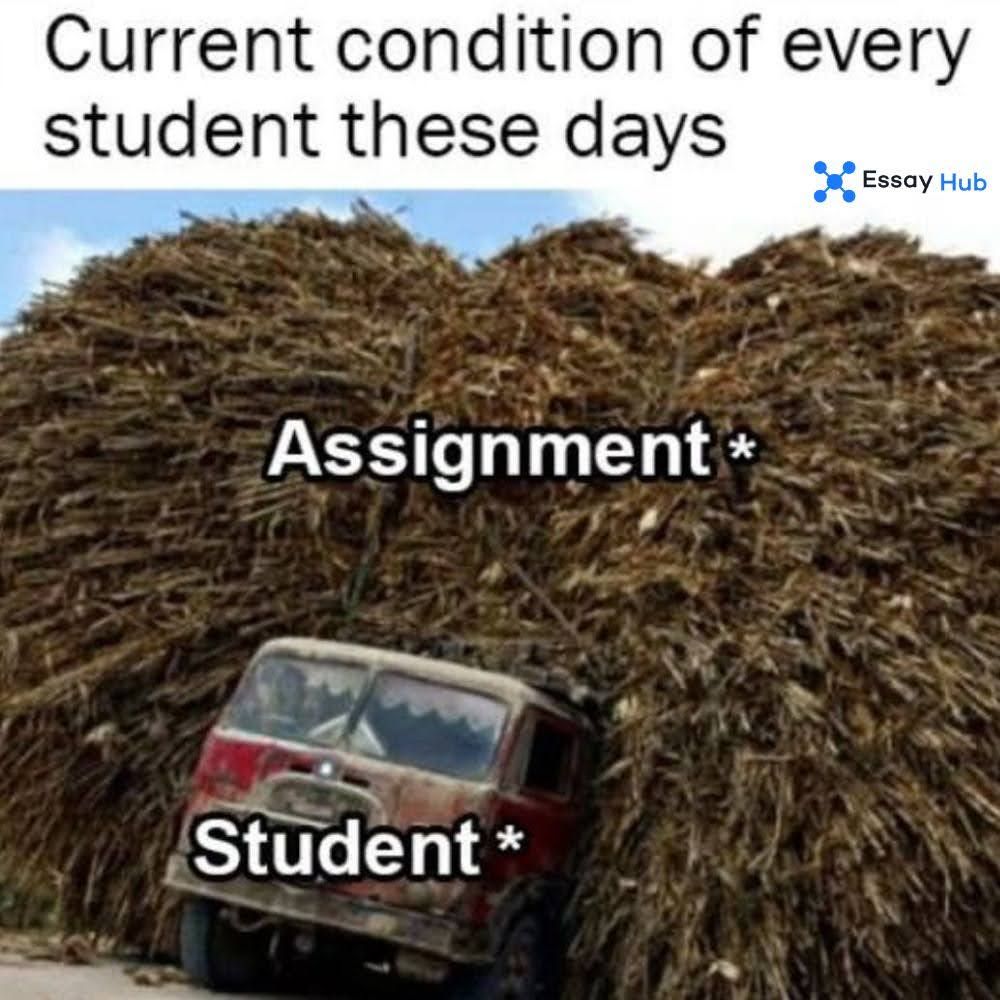 citiesabc | College Memes Every Student Can Relate To