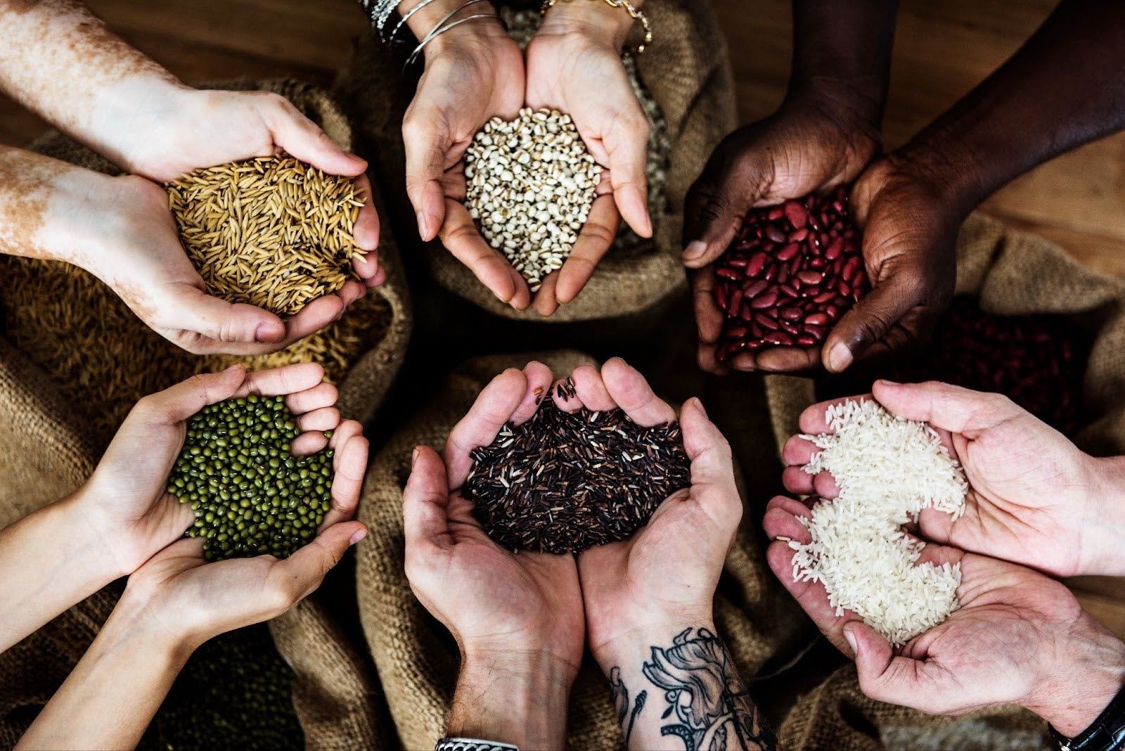 Precision Seed Counting: The Unsung Hero Driving Sustainable ...