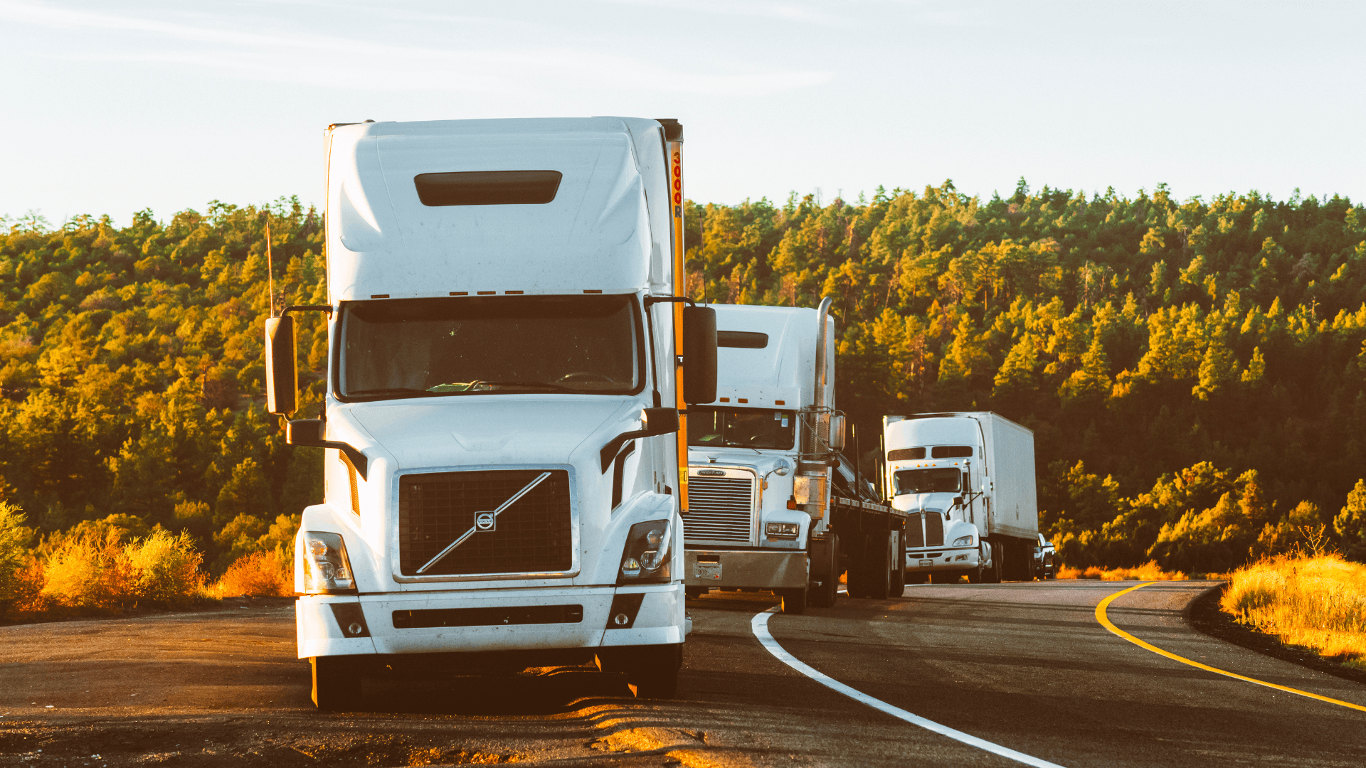 Key Tips for Choosing a Reliable Cargo Truck Company