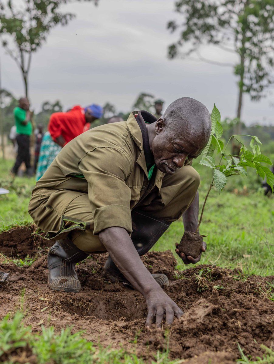 ‘Sustainable Development in Practice’ Integrated Approach